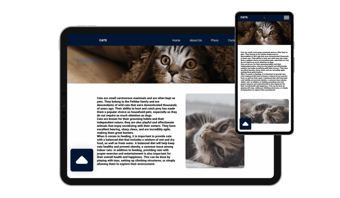 Back to Top Button Widget - Free & Works on Any Website