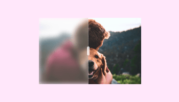 Free, Fully Customizable Widgets for Neocities | Common Ninja